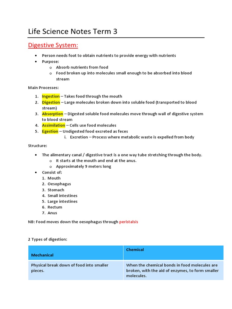 Life Science Notes Term 3 | PDF | Ear | Digestion