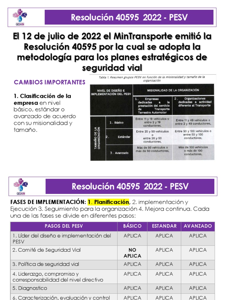 Resumen de Los Pasos PESV 2022 | PDF | Planificación