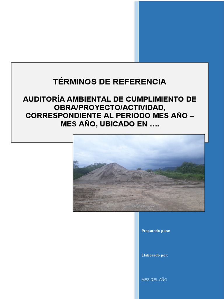Estructura de Terminos de Referencia para Aa | PDF | Auditoría | Residuos