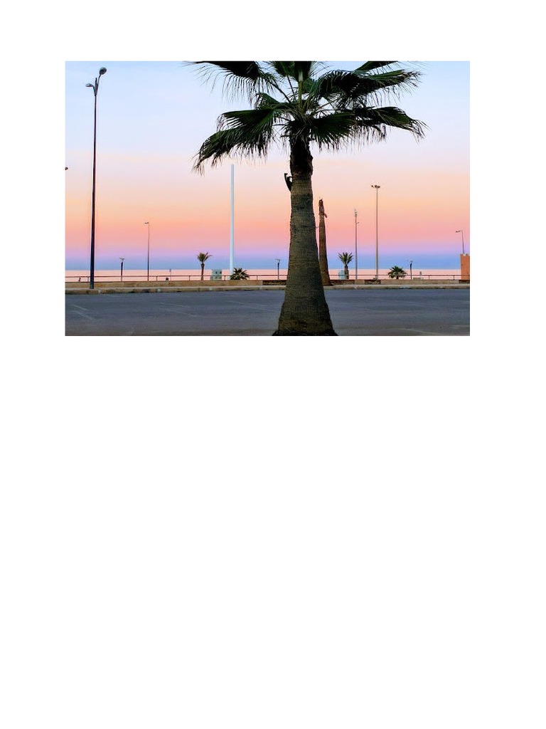 Saidia | PDF
