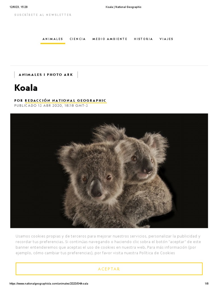 Koala _ National Geographic | PDF | Coala | Cookie HTTP