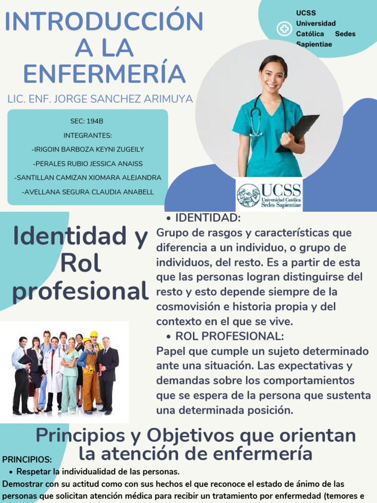 Identidad y Rol Profesional | PDF