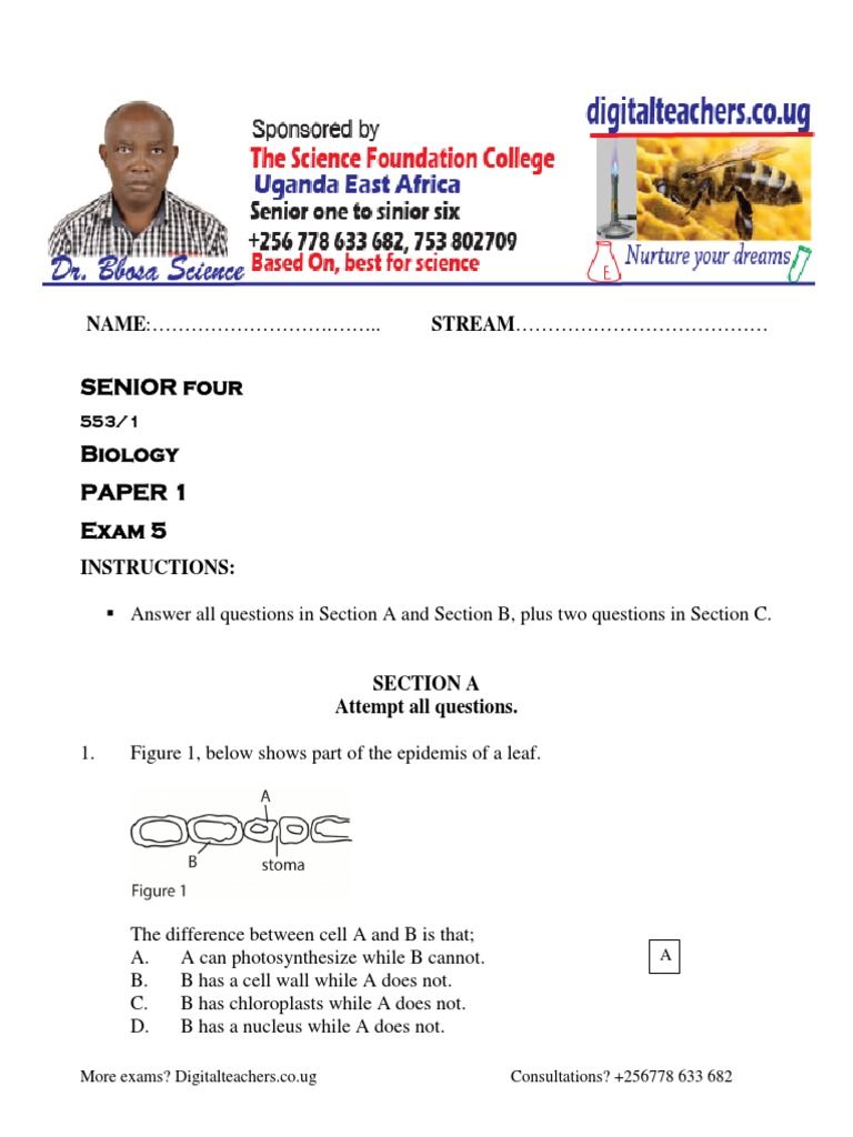 s4 Biology Paper 1 Set 4 Marking Guide | PDF