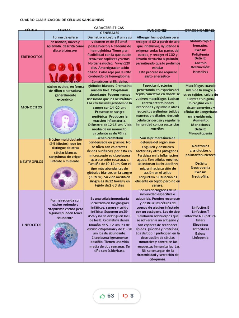 Cuadro Comparativo de Las Celulas Sanguineas - Compress | PDF