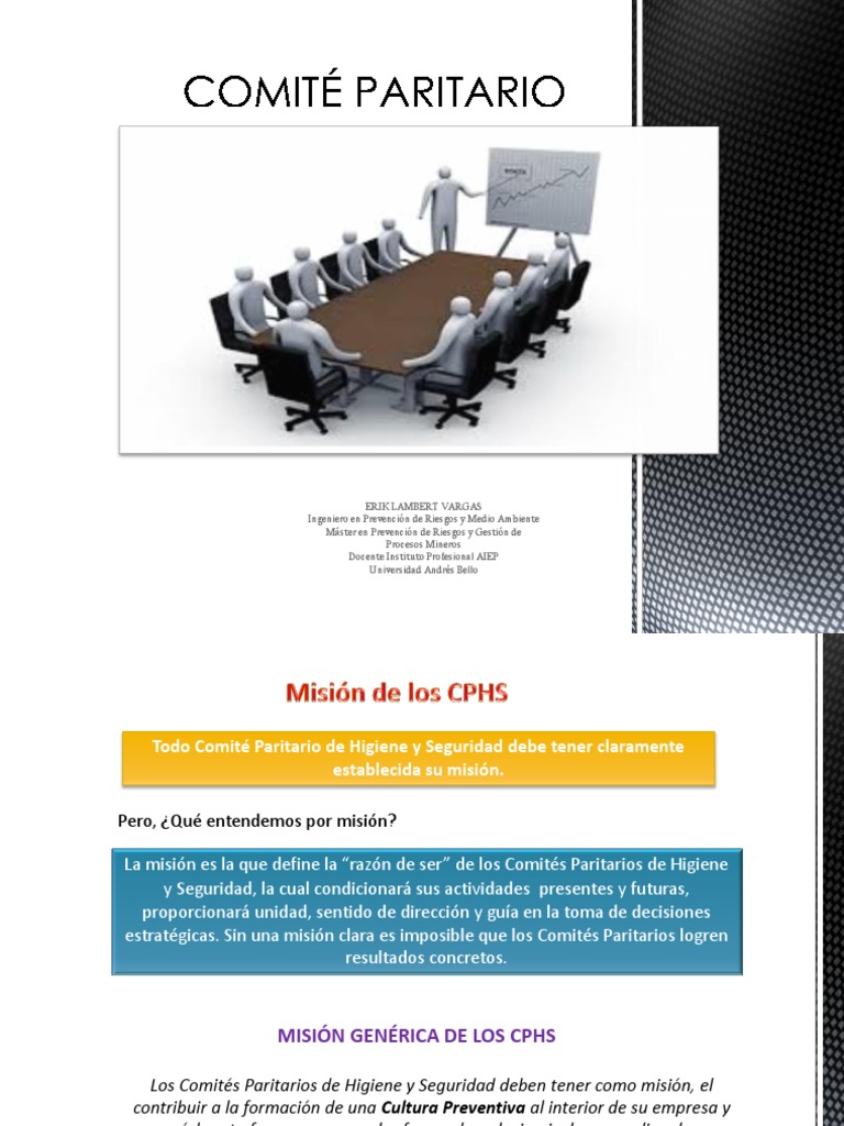 Comité Paritario (Curso) | PDF