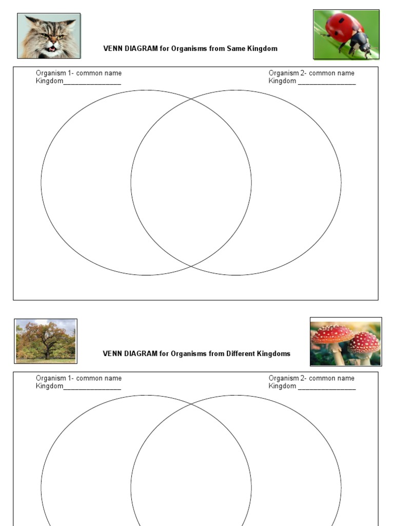 3.1 Venn Diagram For Kingdoms | PDF | Self-Improvement | Wellness