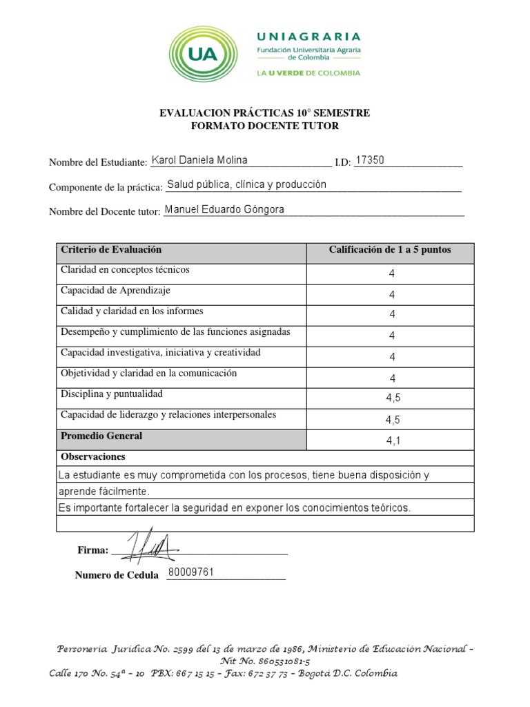 Formato Evaluacion Docente Tutor (Daniela Molina) | PDF