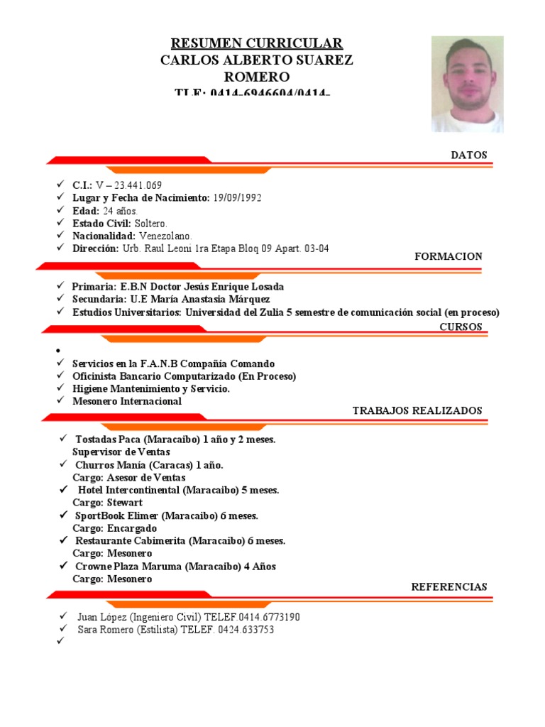 Curriculum CARLOS | PDF