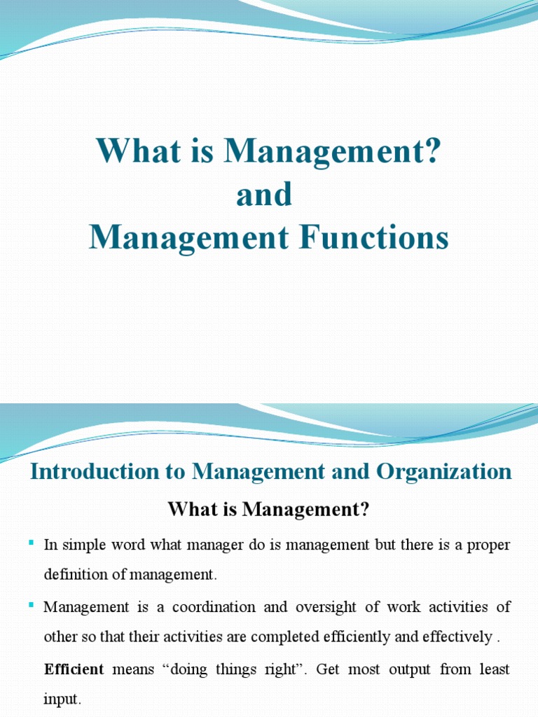 Overview of Management Functions | PDF