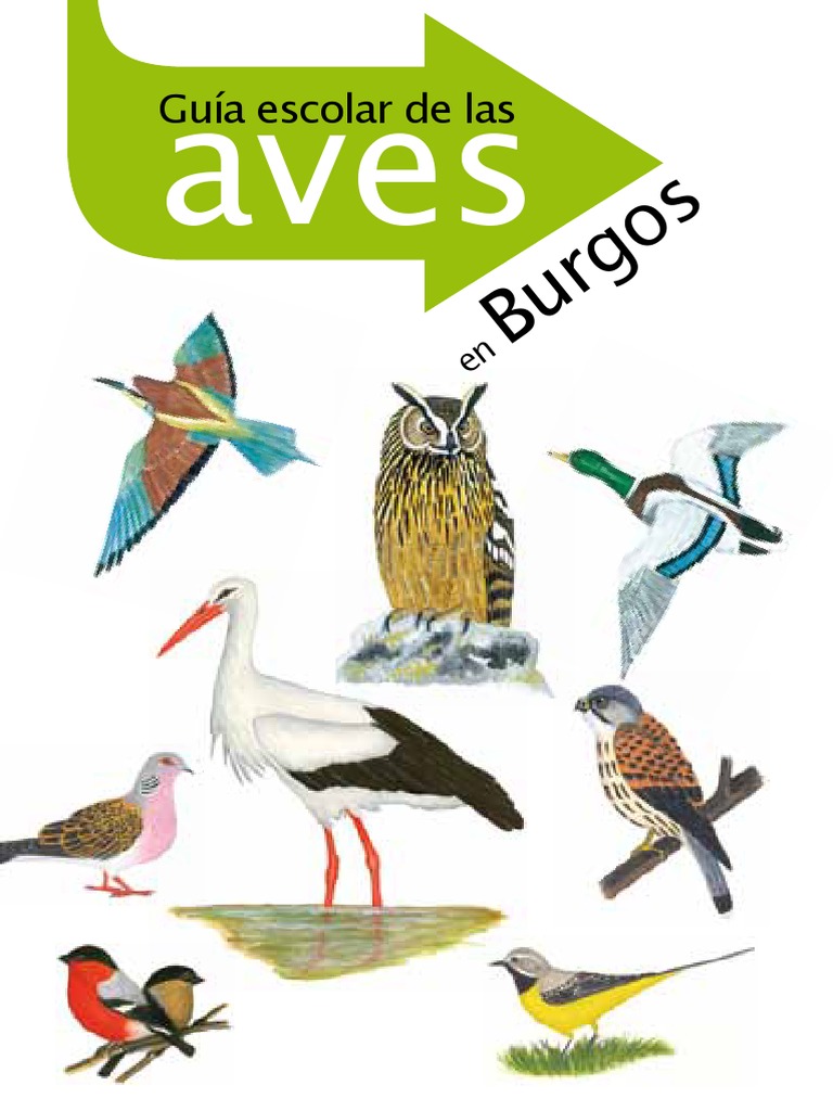 Guia Escolar de Aves | PDF | Aves | Migración de aves