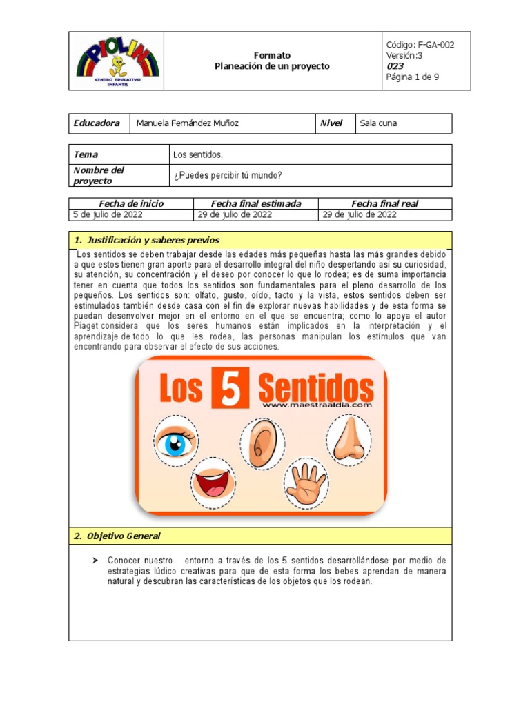 Proyecto de Julio Los Sentidos, Sala Cunas | PDF | Curiosidad ...