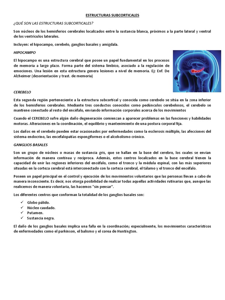 Estructuras Subcorticales | PDF