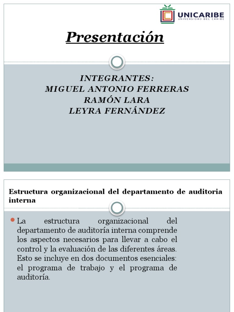 Presentacion grupo 2 | PDF | Auditoría | Business
