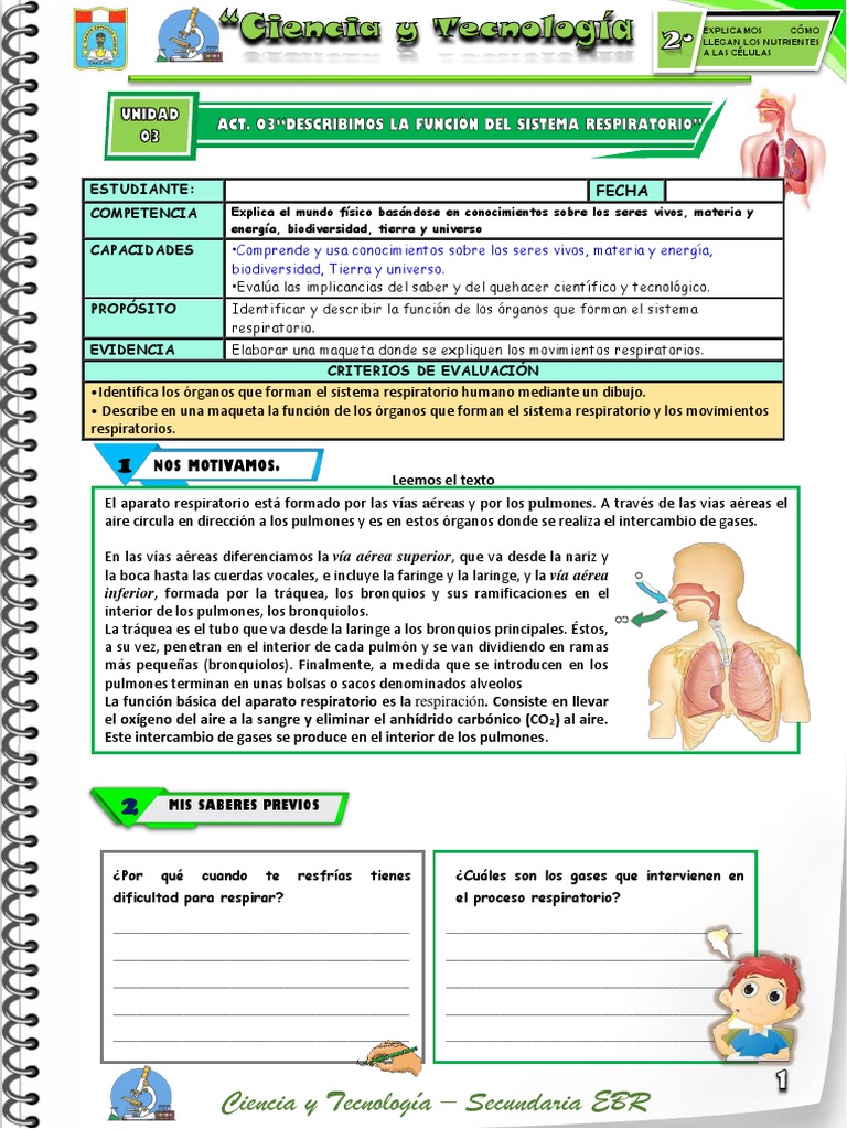 B-2º Act 4 Cyt Unid 2 - Sem 2 | PDF | Sistema respiratorio | Pulmón