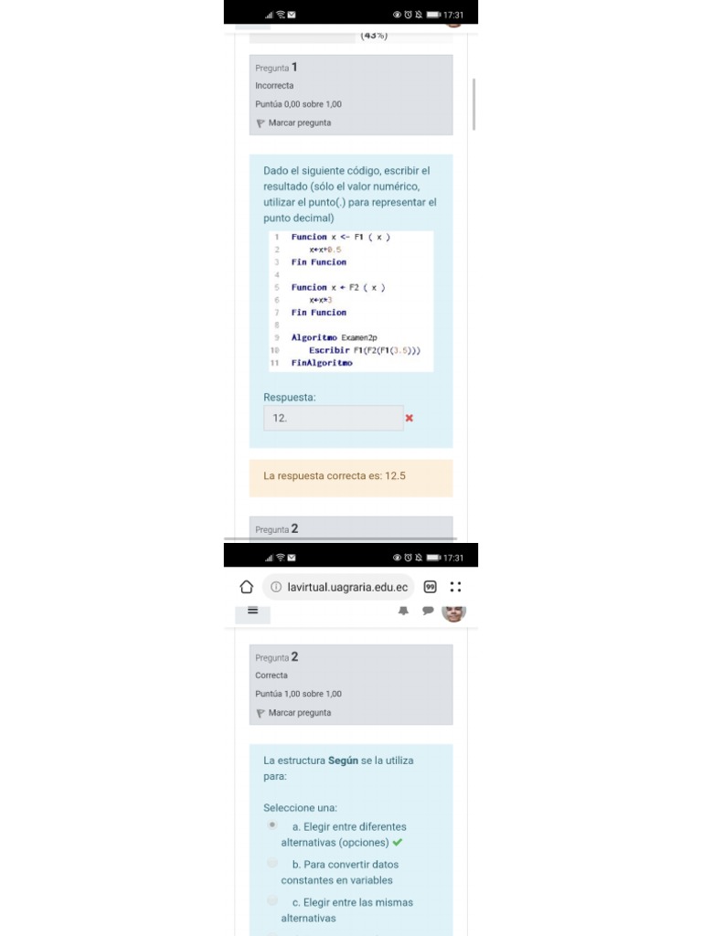 Fundamentos de Programación | PDF