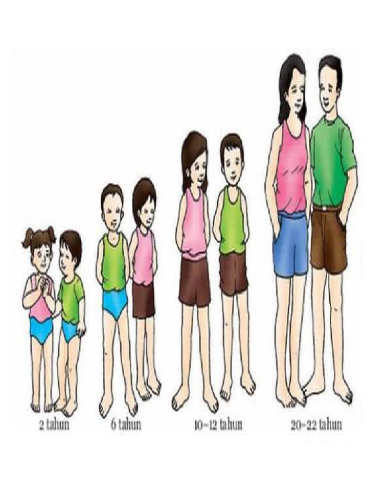 Gambar Pubertas | PDF