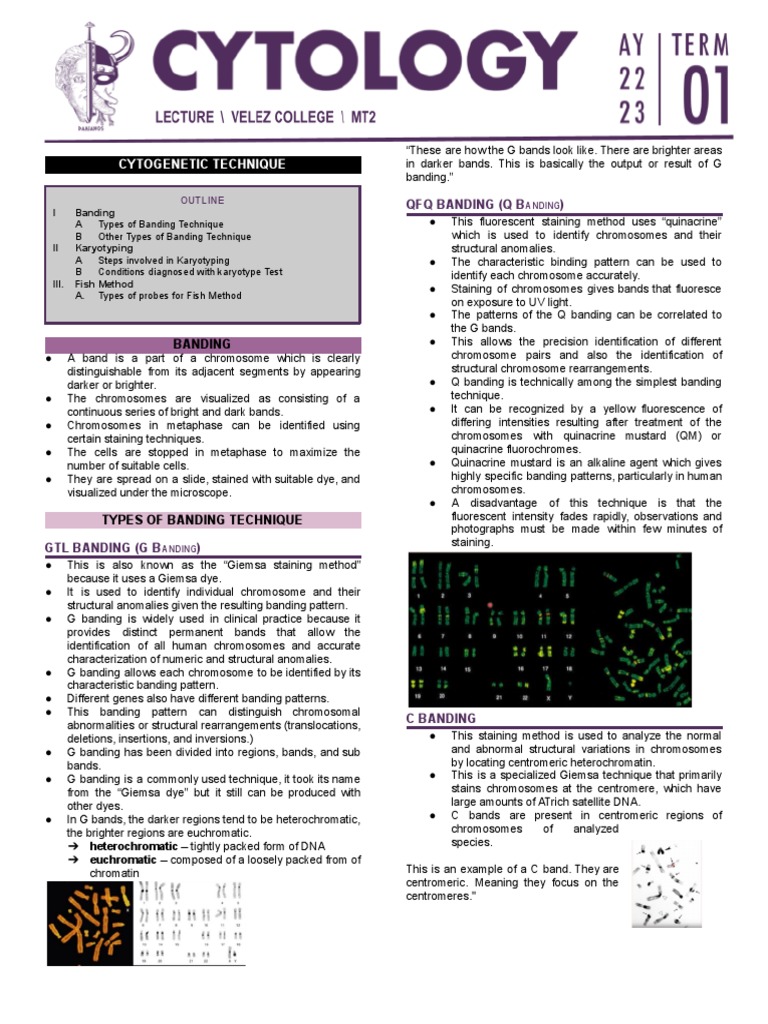 Lec-11-Cytogenetic Technique | PDF