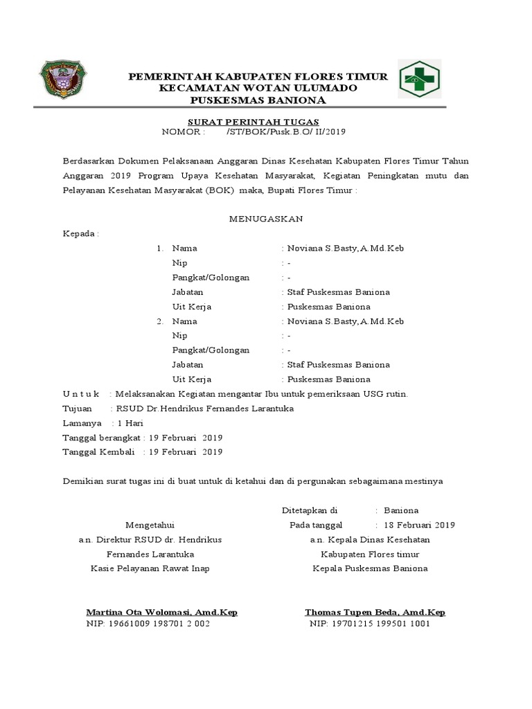 Surat Tugas Rujukan Usg | PDF