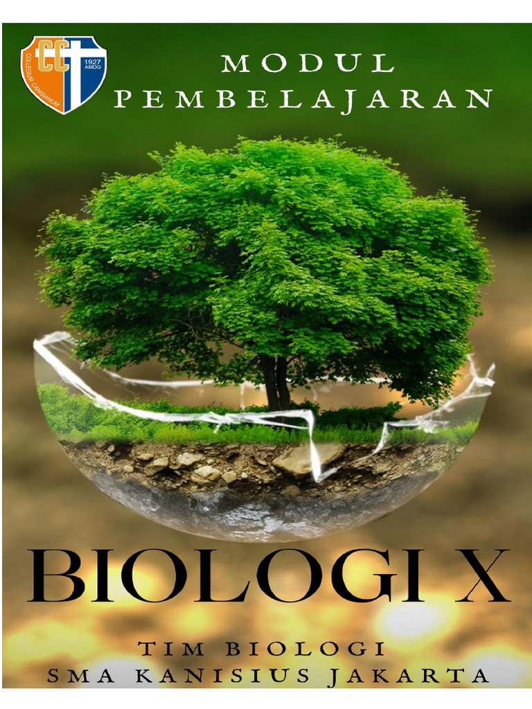 Modul Ajar Biologi SMA Kanisius | PDF | Kesehatan Holistik