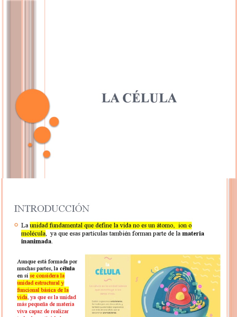 La Célula 15-03-22 | PDF | Biología Celular) | Organismos