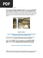 Suelo Calcisol | PDF | Suelo | Ciencia del suelo