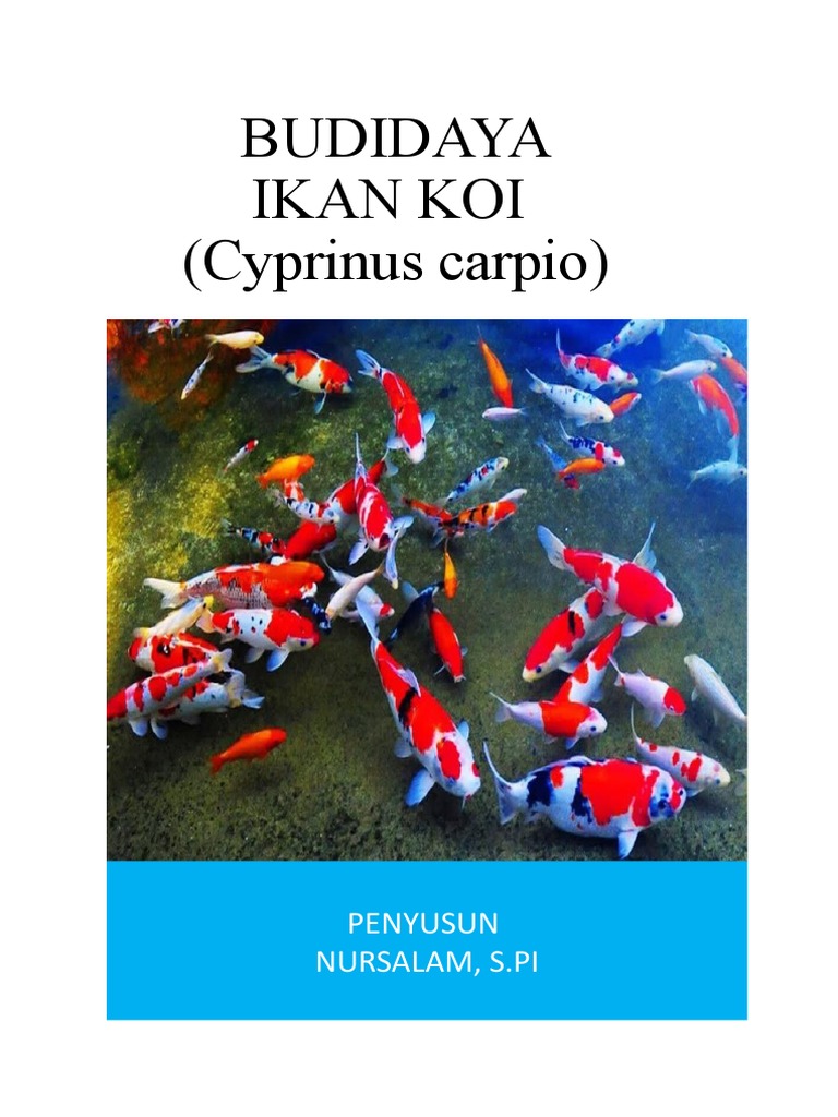 Xba Budidaya Ikan Koi | PDF