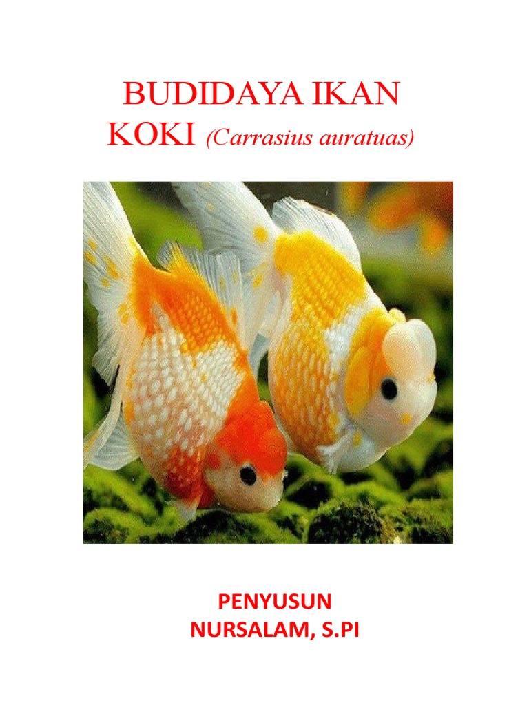 Xbudidaya Ikan Koi | PDF