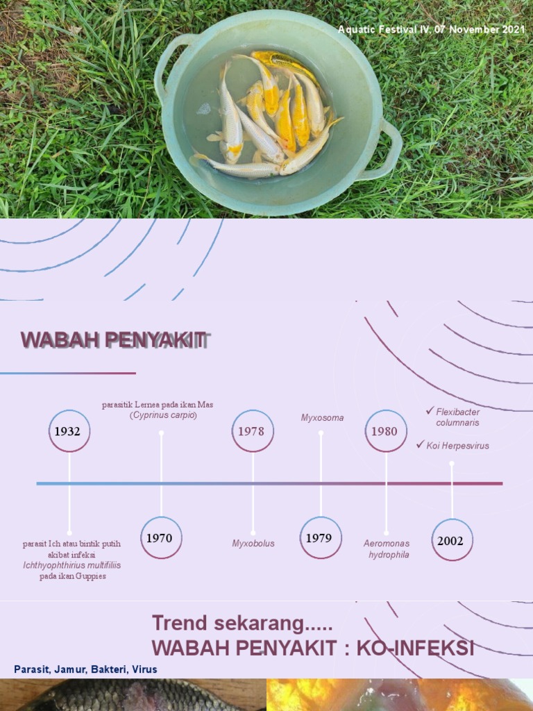 XPPT Strategi Pengendalian Hama Penyakit Menggunakan Imunostimulan Pada Budidaya Ikan Koi | PDF