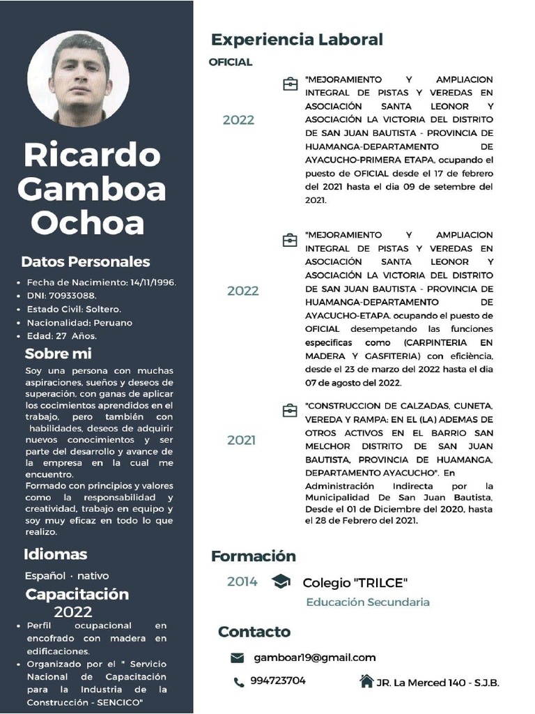 CV Ricardo Gamboa Ochoa | PDF