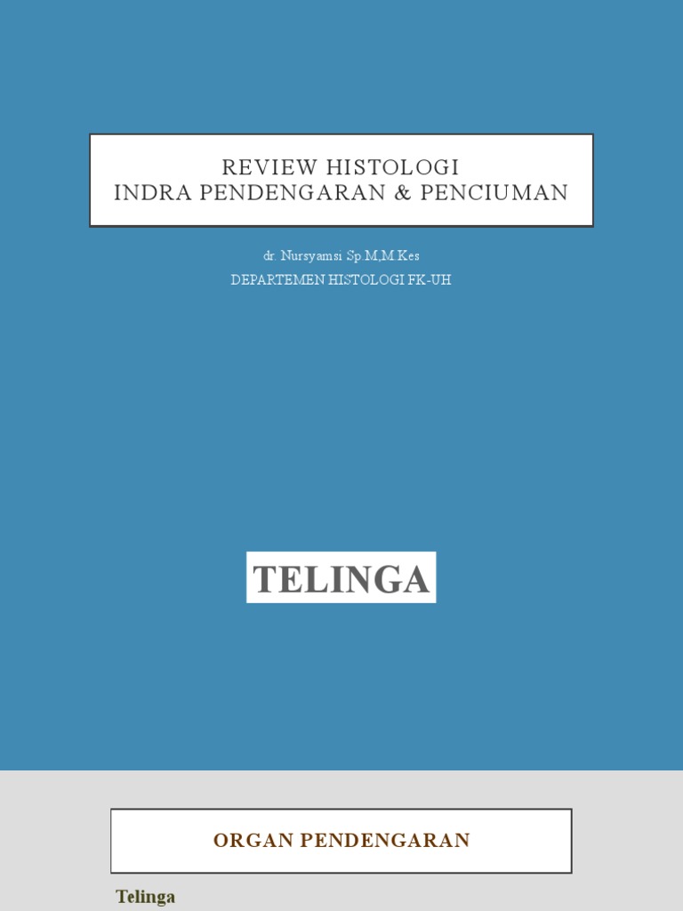 Histo Telinga Dan Hidung | PDF | Ilmu Sosial