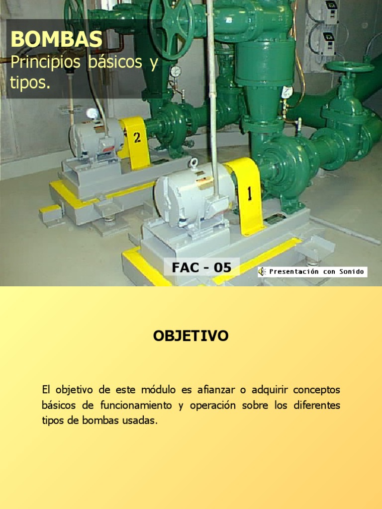 Bombas Principios Básicos y Tipos | PDF