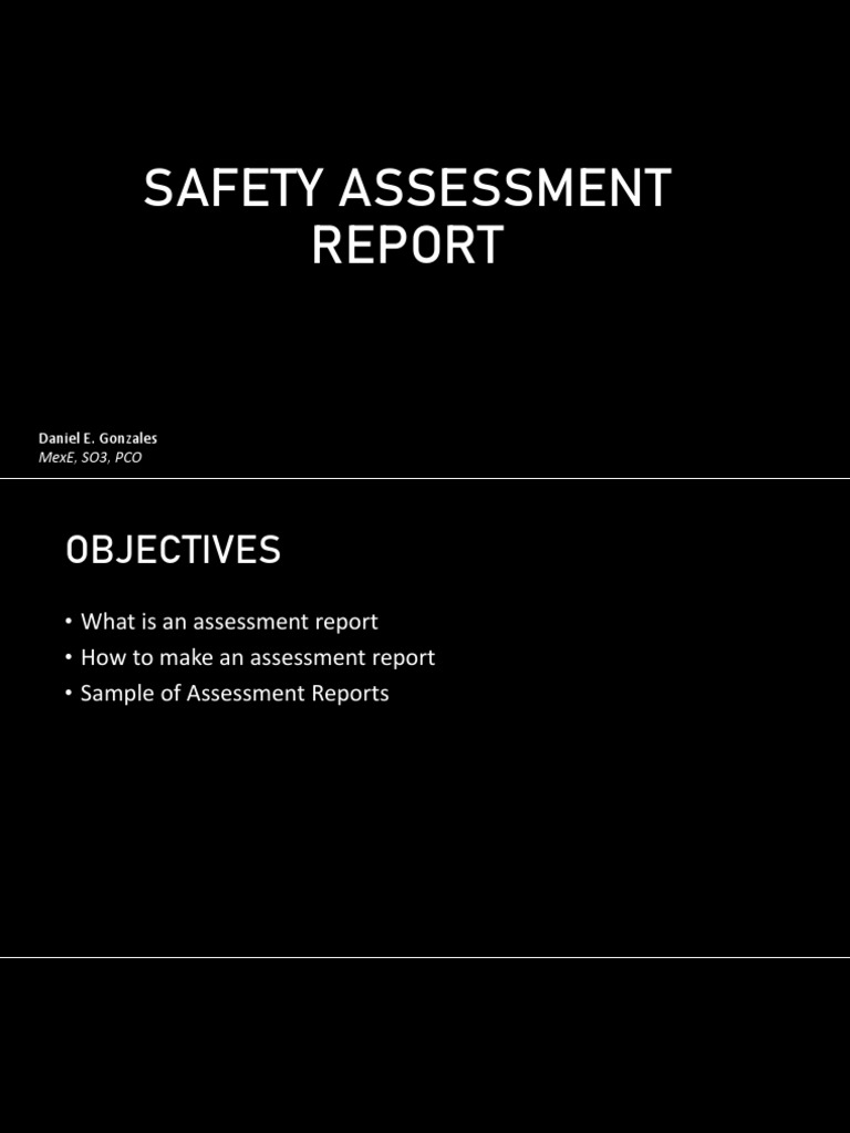 Safety Assessment Report Guide | PDF
