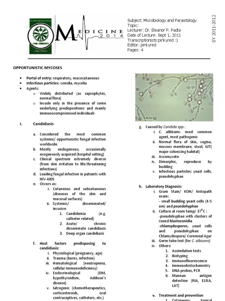 Opportunistic Mycoses: Portal of Entry: Respiratory, Mucocutaneous ...