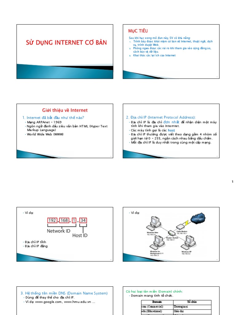 Modul 6 Su Dung Internet Co Ban | PDF