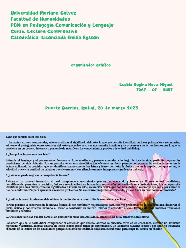 Organizador Grafico Lectura Comprensiva | PDF | Comprensión lectora ...