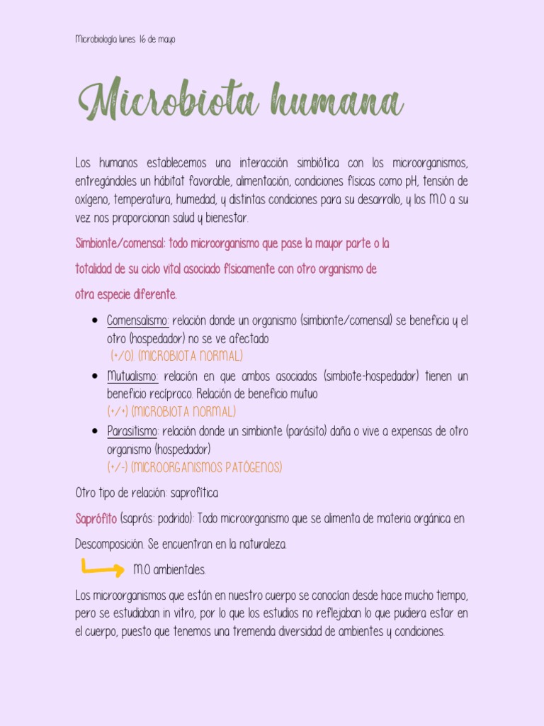 Microbiota Humana: Funciones y Relaciones | PDF | Salud y bienestar