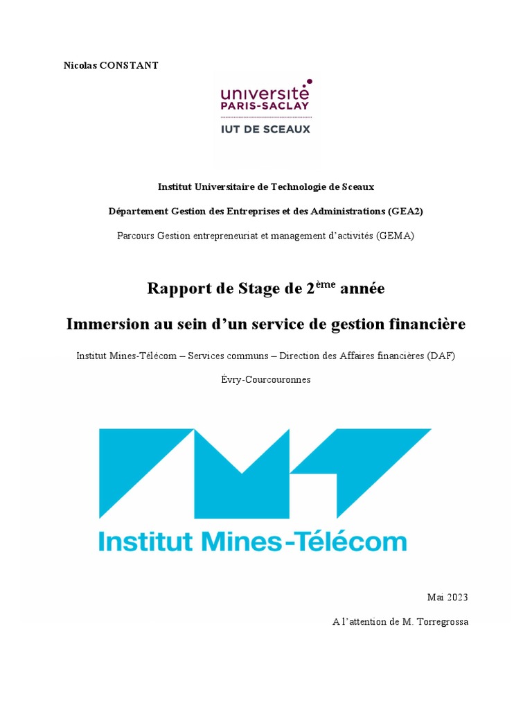 Rapport de Stage Nicolas Constant Gea2 | PDF | Économie | Business