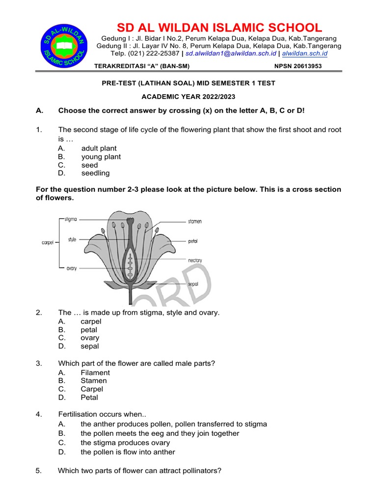 Latihan Soal Science Kelas 5 | PDF | Respiratory System | Flowers