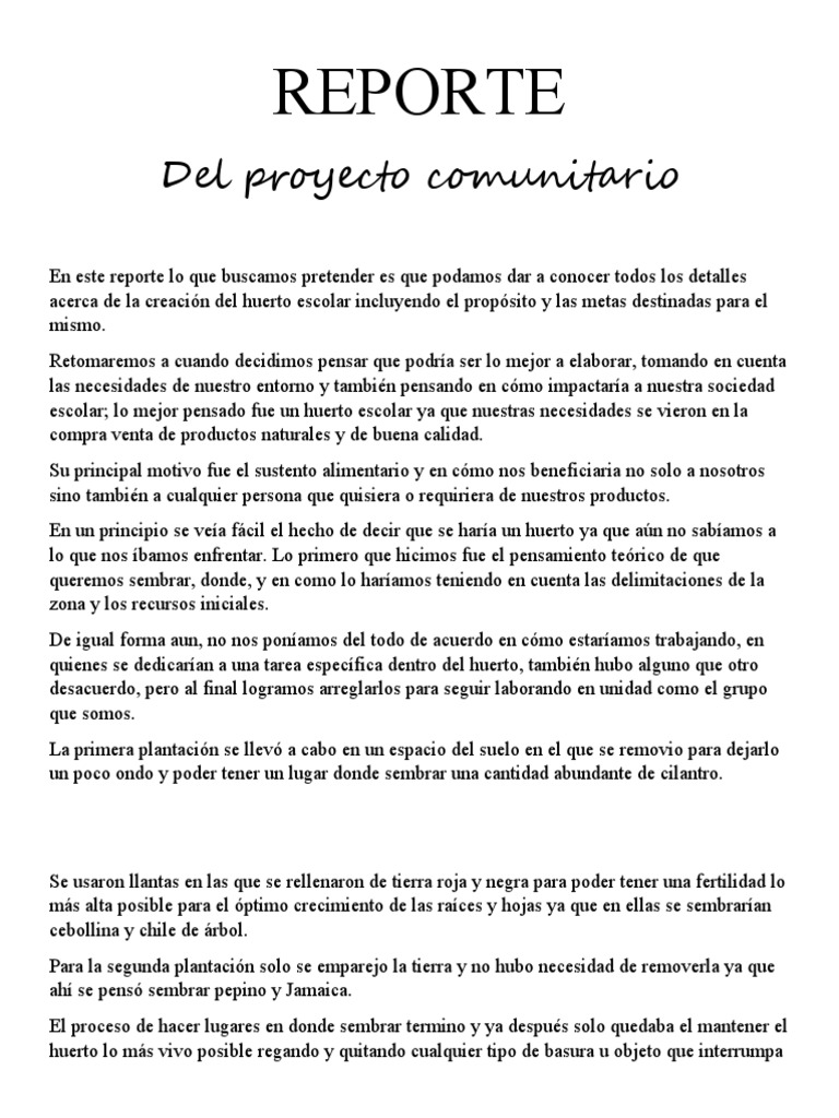 REPORTE | PDF | Hogar, jardinería y bricolaje