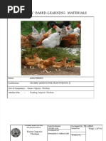Raise Organic Chickens: Learning Objectives | PDF | Chicken | Poultry