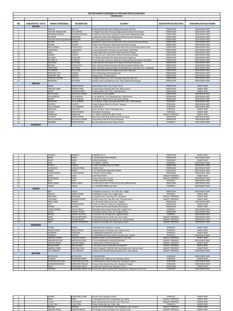 Data Puskesmas | PDF