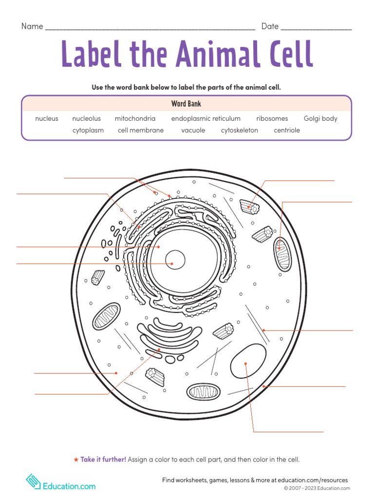 Labeling Parts of an Animal Cell Worksheet | PDF | Language Arts ...