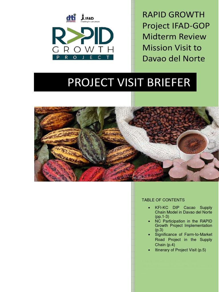 DIP Briefer For The RAPID MTR Mission Visit in Davao Del Norte | PDF