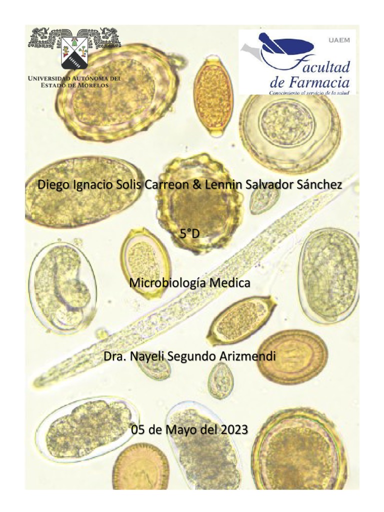 Atlas Parasitos | PDF | Especialidades Medicas | Medicina CLINICA