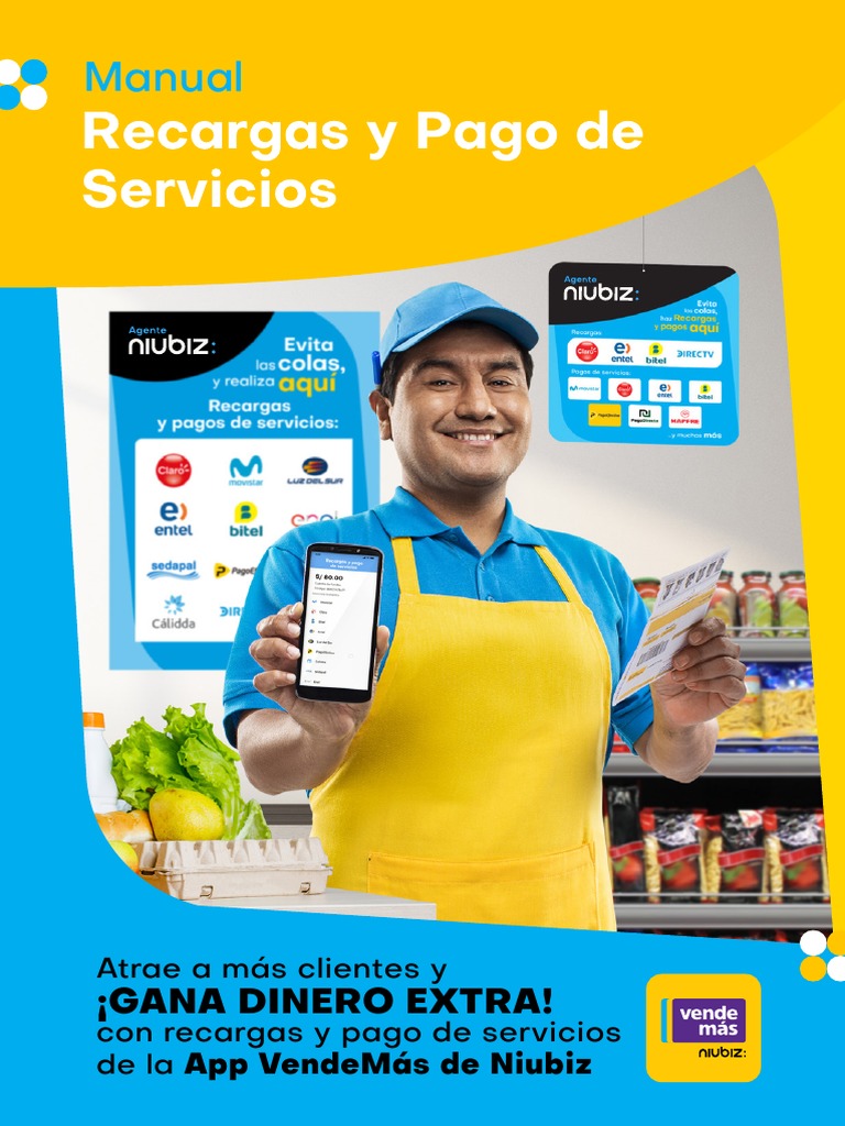 Manual Recargas y Pago de Servicios | PDF