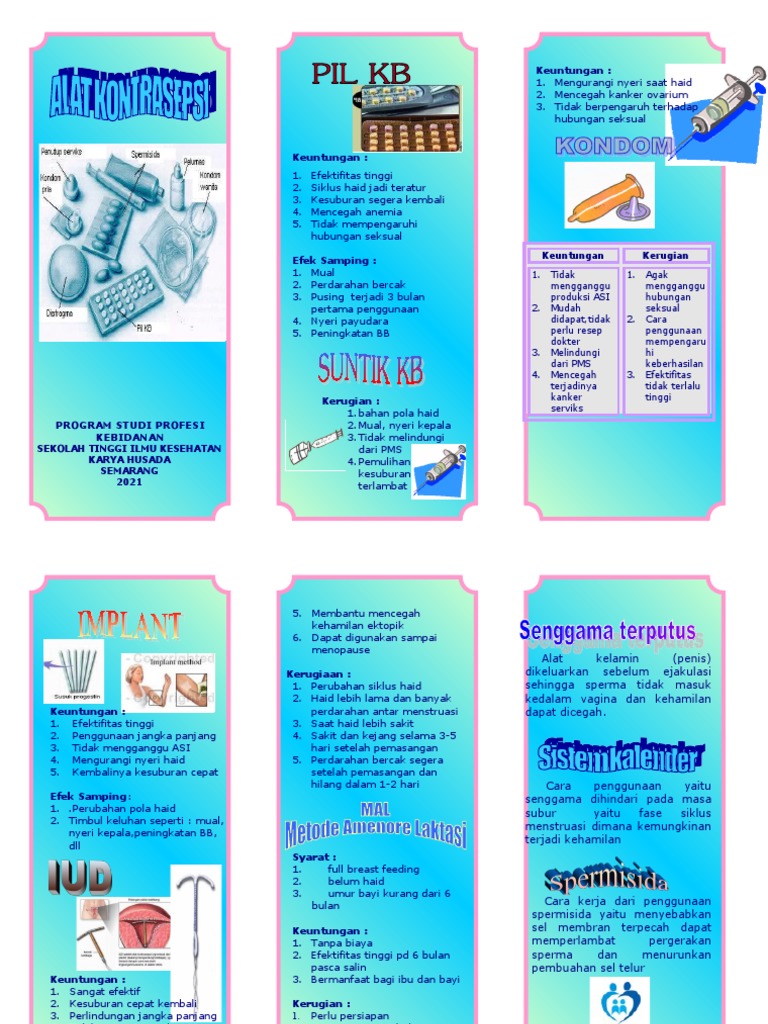 Leaflet Penkes KB | PDF