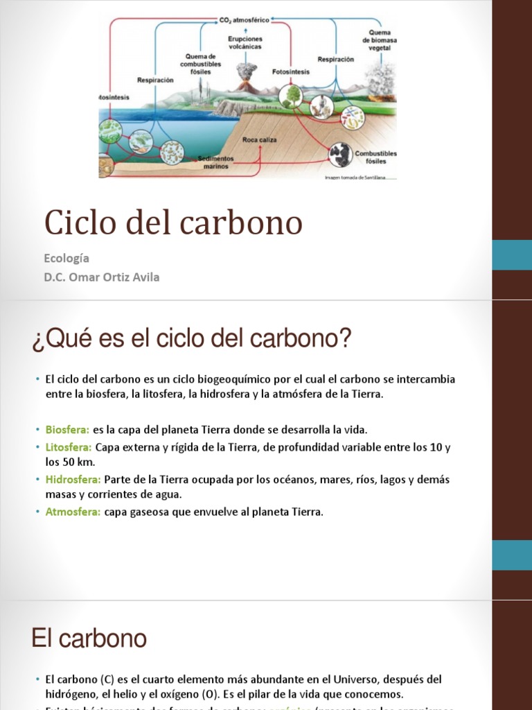 El Ciclo Del Carbono | PDF | Ciclo del carbono | Tierra