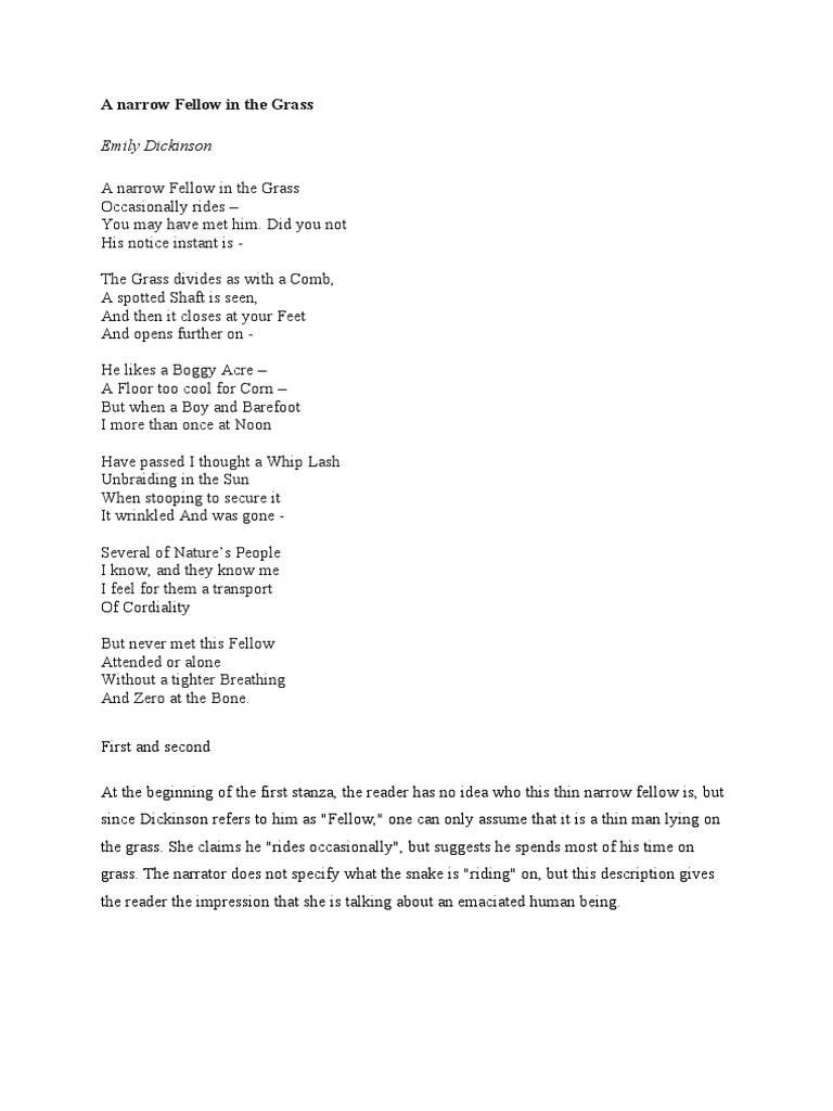 A Narrow Fellow in The Grass Analysis | PDF
