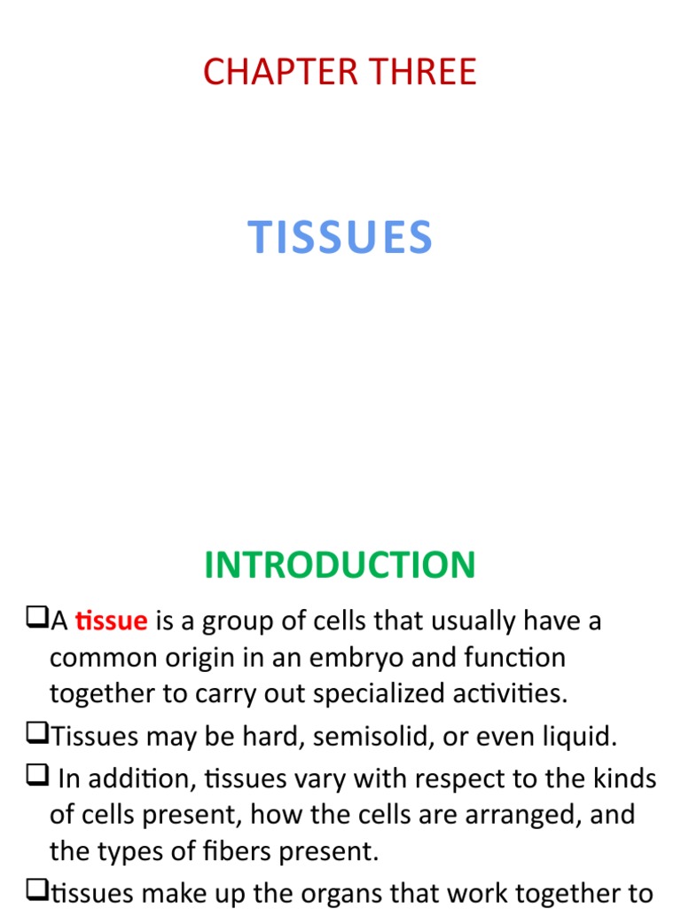 Tissue | PDF