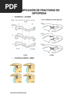 Amelia Meromelia Pie Equino Varo Grupo #2 M1-01 | PDF | Pie | El embarazo